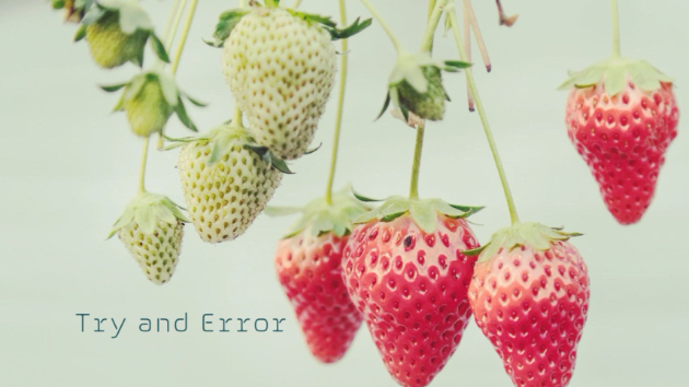 UCA雨花ｻｲｷｯｸｶｰﾄﾞﾘｰﾀﾞｰブログ一覧｜coconalaブログ