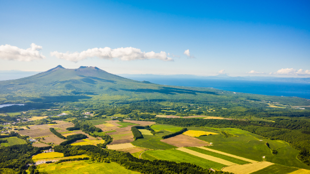 よりお求めやすく！｜ddddddaigojgovmlv｜coconalaブログ