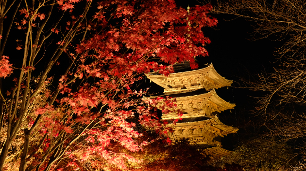 ココナラ受注受付スケジュール｜トリっと｜coconalaブログ