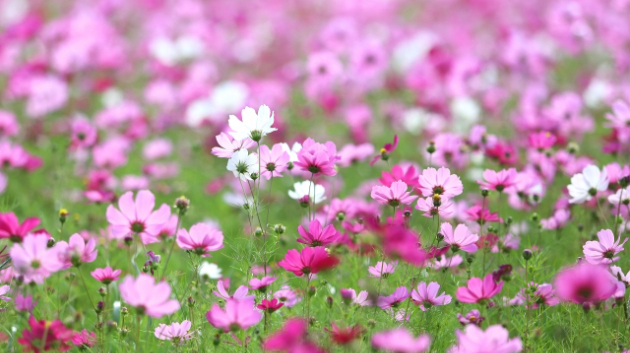 すごいこと｜momo_creation｜coconalaブログ