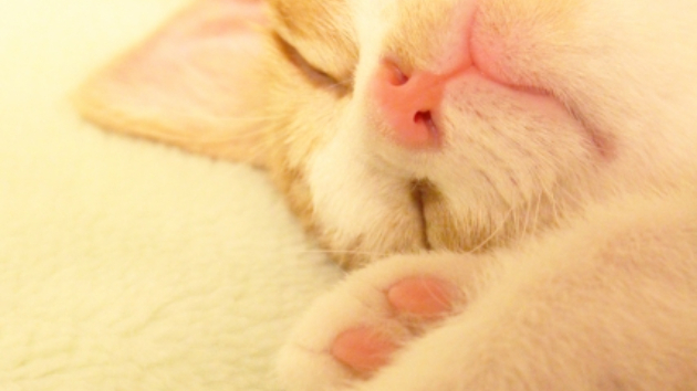 かくれ繊細ママの癒し｜murmur123｜coconalaブログ