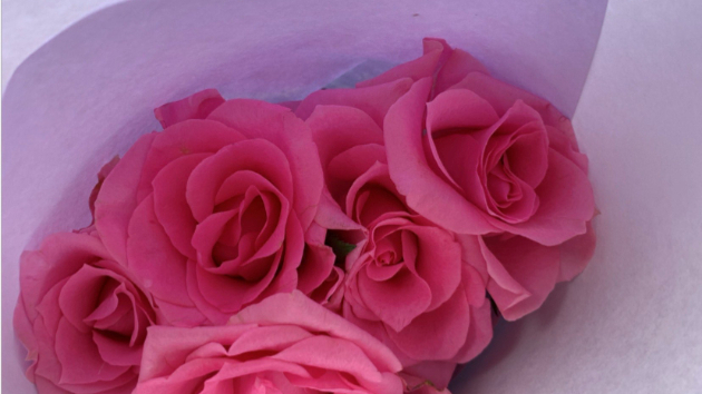 女性を諦めない｜頑張る方の専属秘書 fuji｜coconalaブログ