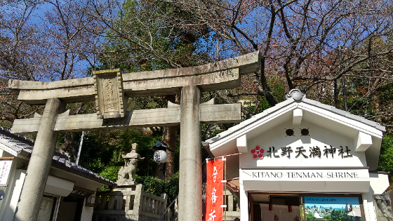 射手座新月のねがいごと｜lukia☆（ルキア）｜coconalaブログ