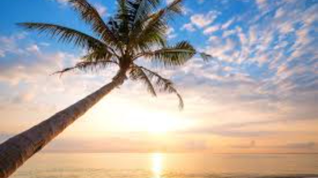 ビジネス 格言｜占い師 導春｜coconalaブログ