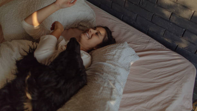 寝起きのわんちゃんが飼い主を舐める理由｜Rey奈 ＊ ドッグライフアドバイザー｜coconalaブログ