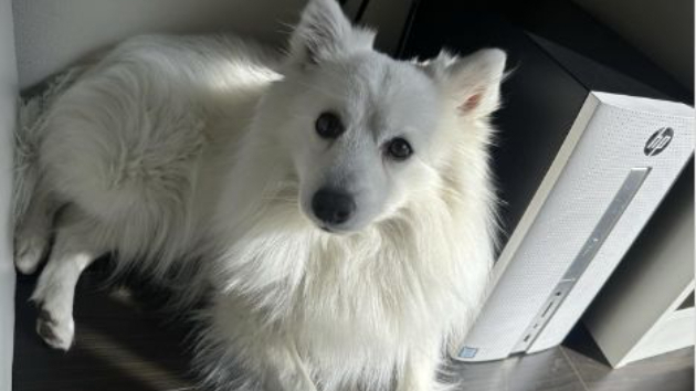 甲子日｜marina2008｜coconalaブログ