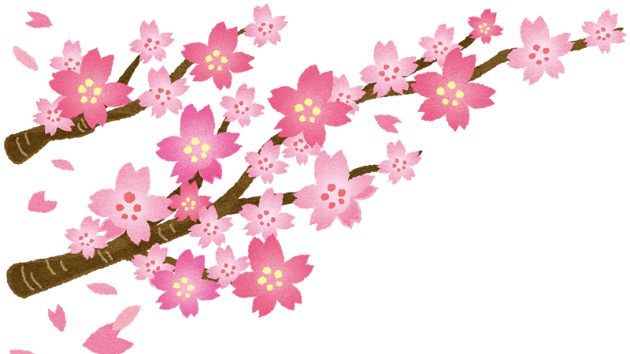 桜満開お勧め＊最強スポット＊in埼玉｜CONA．｜coconalaブログ