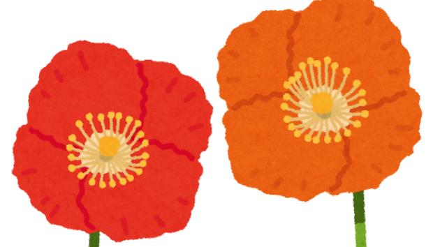 1月19日から25日の運勢：あなたの1週間のヒント｜Sana_Tarot37｜coconalaブログ