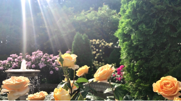 愛を選ぶとうまくいく｜kan 369｜coconalaブログ