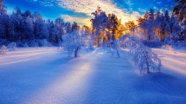 格言｜占い師 導春｜coconalaブログ