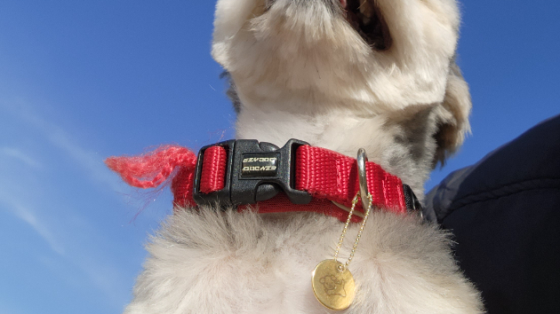 大切な人とは①｜田村☆癒し系【恋愛マスター】｜coconalaブログ