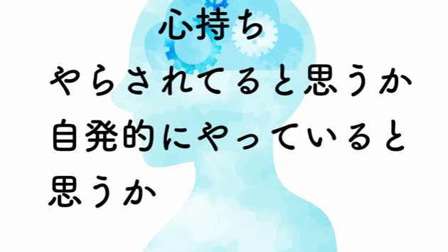 心持ち次第で楽になる｜モモの助2｜coconalaブログ