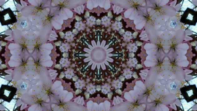 前のチャクラと後ろのチャクラについて｜ariosu｜coconalaブログ