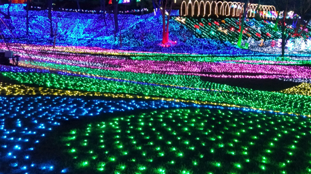 あなたはどうしたい？｜EMY（エミー）｜coconalaブログ