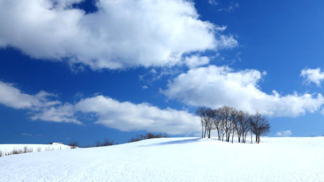 格言｜占い師 導春｜coconalaブログ